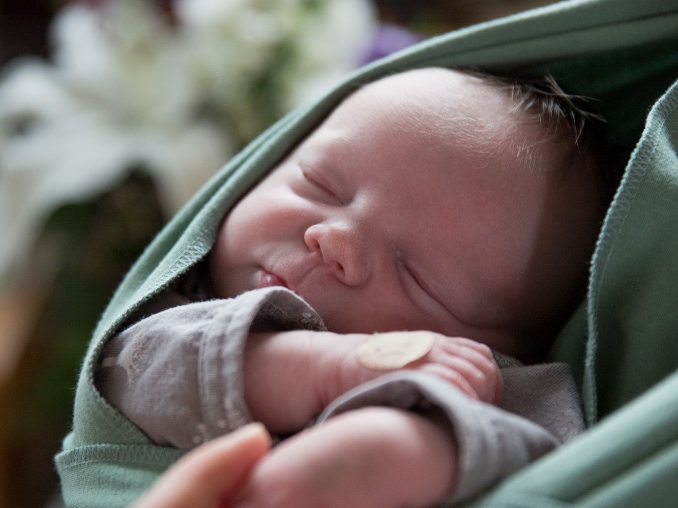 A Dramatic Entrance – Rhea Sebastian Riley