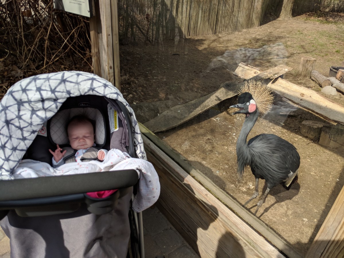 Cousin Visit and Swampy Times – Rhea Sebastian Riley